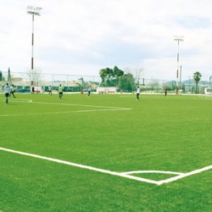 Professional Synthetic Turf Factory Since 2002│About CCGrass