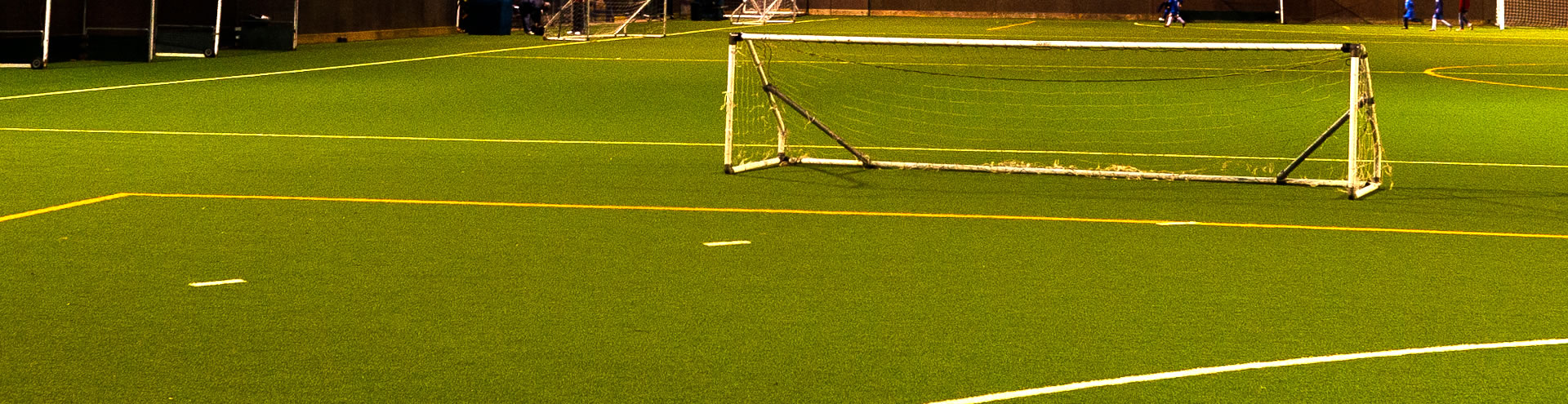 High-Performance Sports Turf for Multi-sport Fields | CCGrass