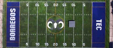 Home - the world's leading artificial grass manufacturer