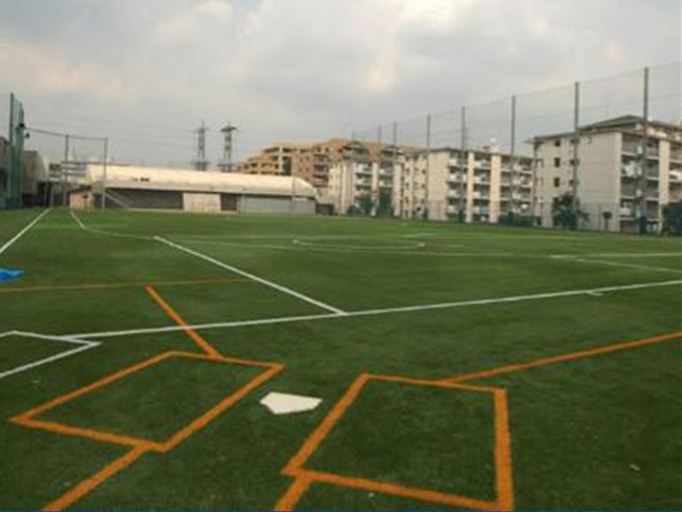 Choosing the Right Turf Colour for Your Sports Pitch