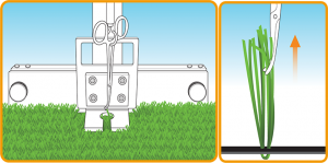 PRT │100% Recyclable Artificial Grass│Eco Friendly - CCGrass