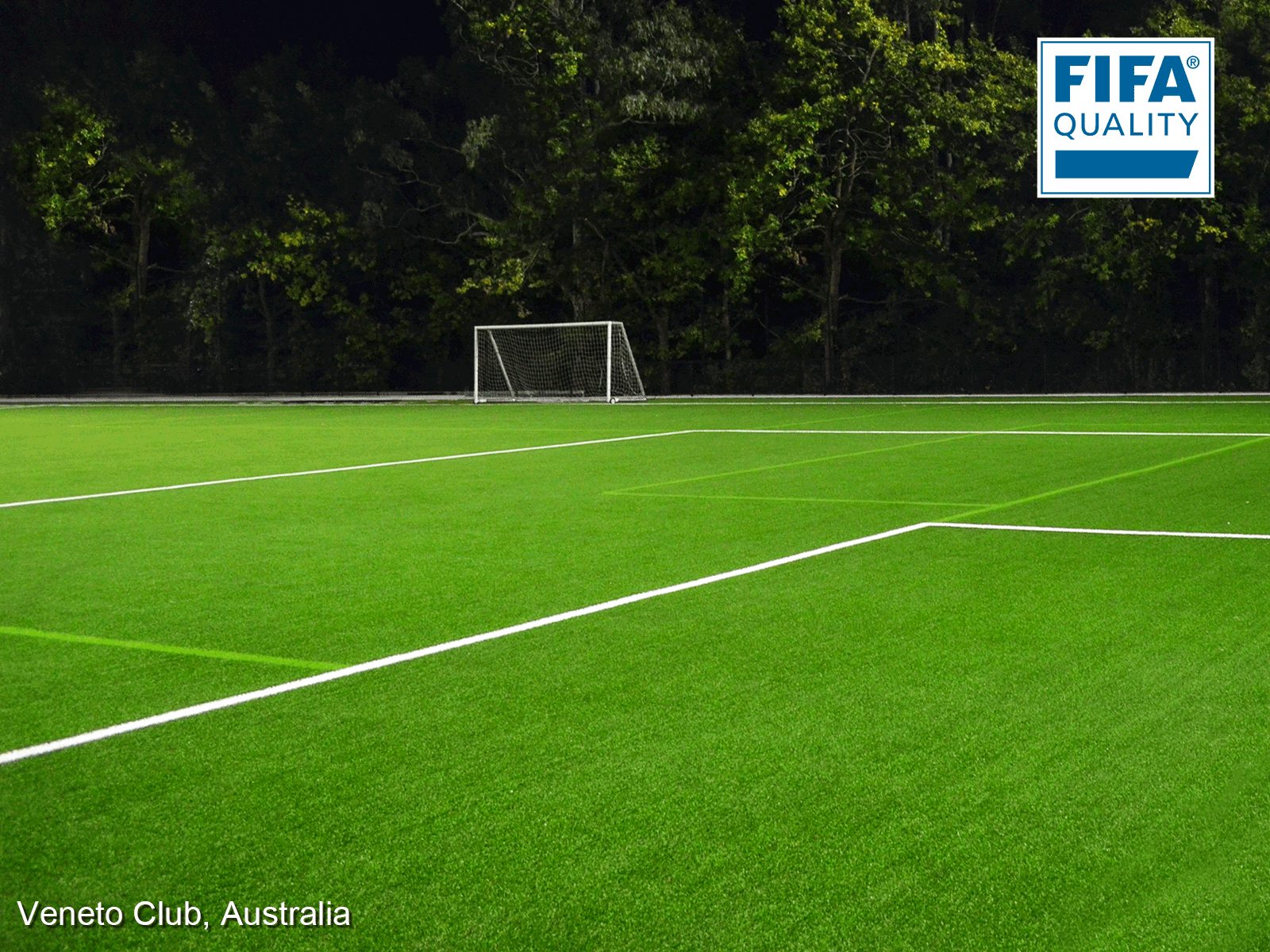 FIFA Certified Field for Veneto Club in Australia | CCGrass