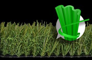 High-Performance Sports Turf for Multi-sport Fields | CCGrass