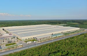 Largest Artificial Grass Factory│International & Modernized