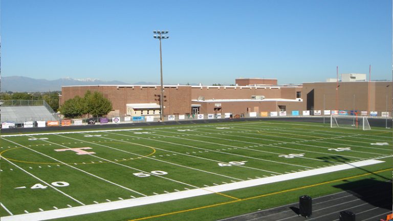 Super Bowl Turf: Total Usage by 2025 Revealed - CCGrass